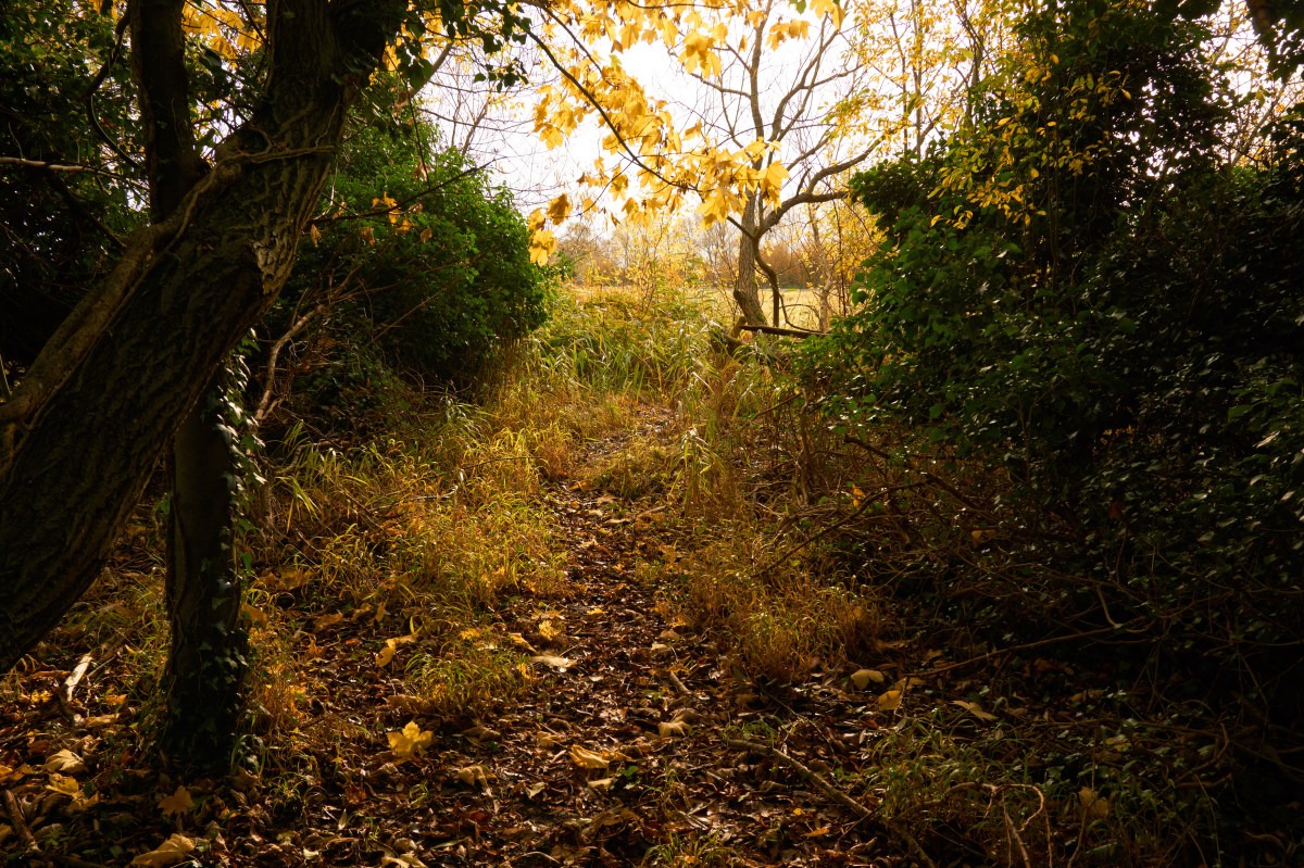 In Search of Nine Wells – Urthona – Buddhism & art