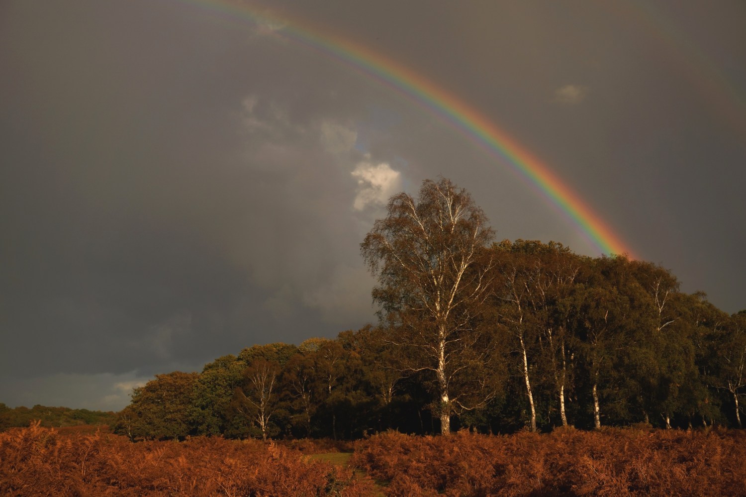 Urthona – Buddhism & art – art & poetry for spiritual evolution